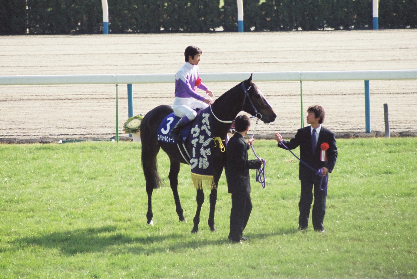 [AJCC]一歩を踏み出す勇気。厳冬の中山で見た、新たなスペシャルウィーク。 - 1999年アメリカジョッキークラブカップ | ウマフリ | 競馬コラム＆ニュース