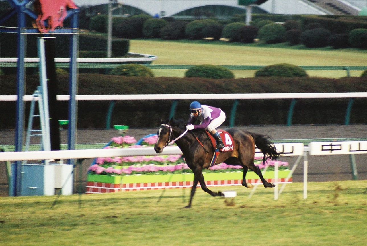 [AJCC]一歩を踏み出す勇気。厳冬の中山で見た、新たなスペシャルウィーク。 - 1999年アメリカジョッキークラブカップ | ウマフリ | 競馬コラム＆ニュース