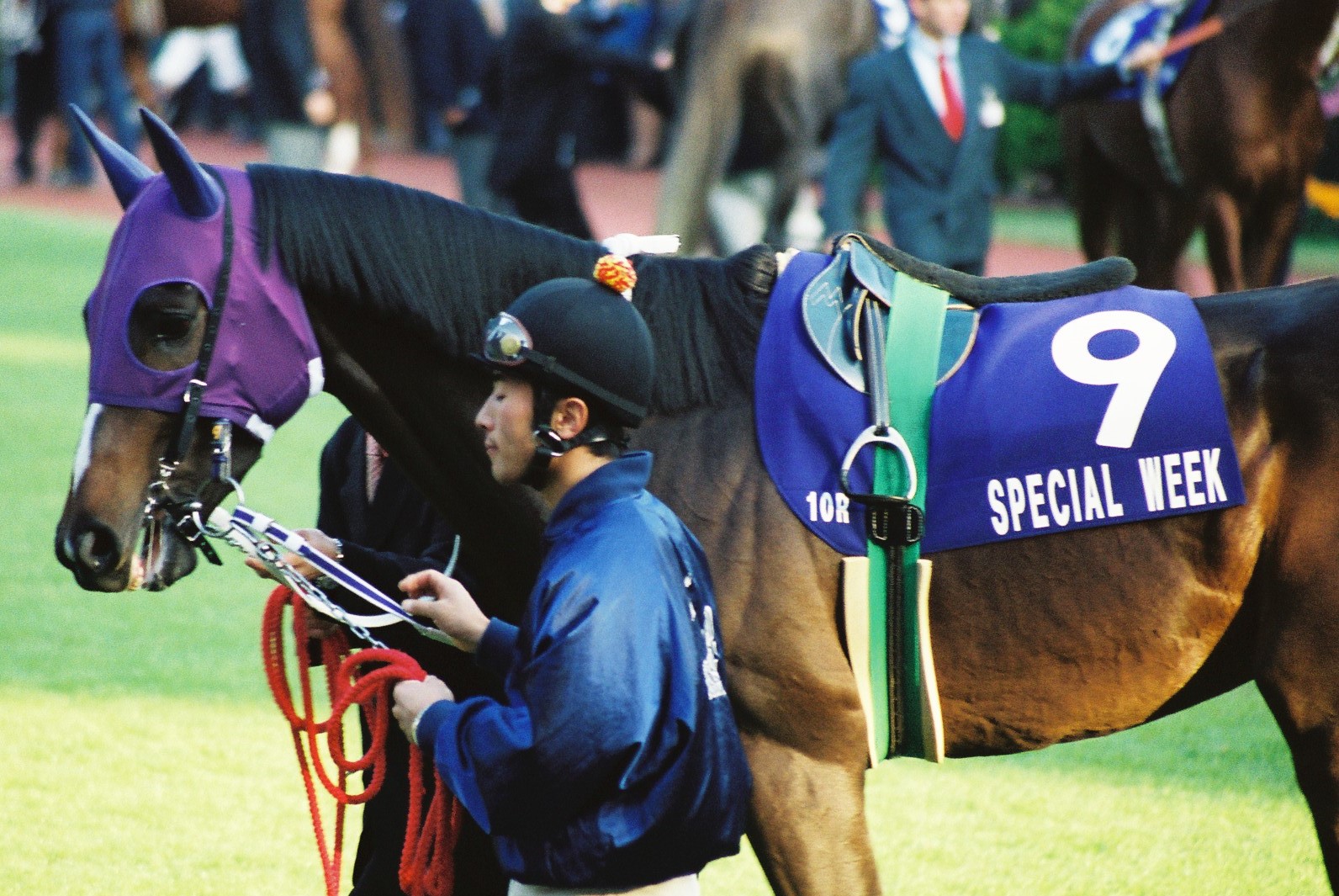 [AJCC]一歩を踏み出す勇気。厳冬の中山で見た、新たなスペシャルウィーク。 - 1999年アメリカジョッキークラブカップ | ウマフリ | 競馬コラム＆ニュース