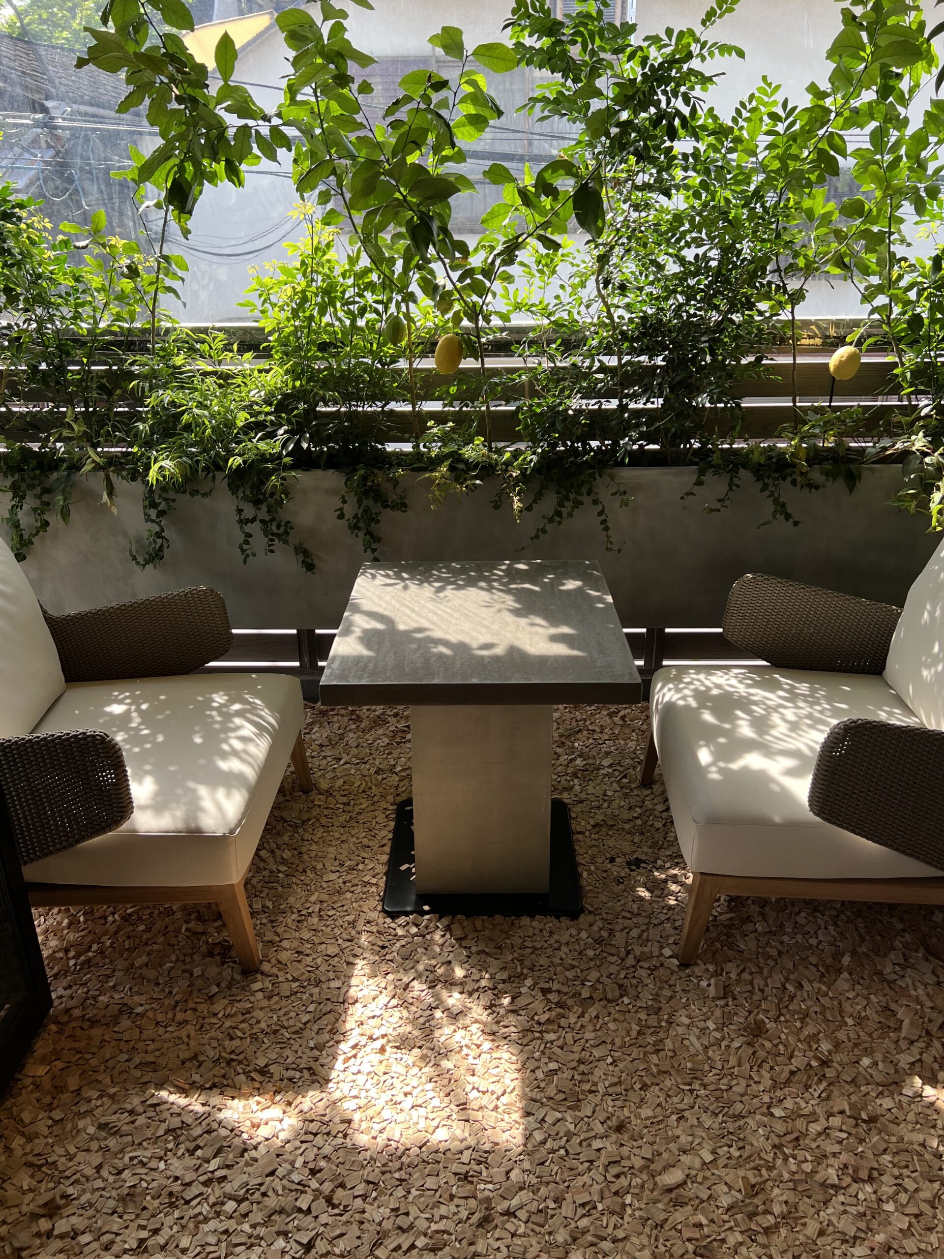 [インタビュー]馬とつながる、食でつながる「BafunYasai TCC CAFE」。TCC Japan 山本代表が語る、表参道からの引退競 ...