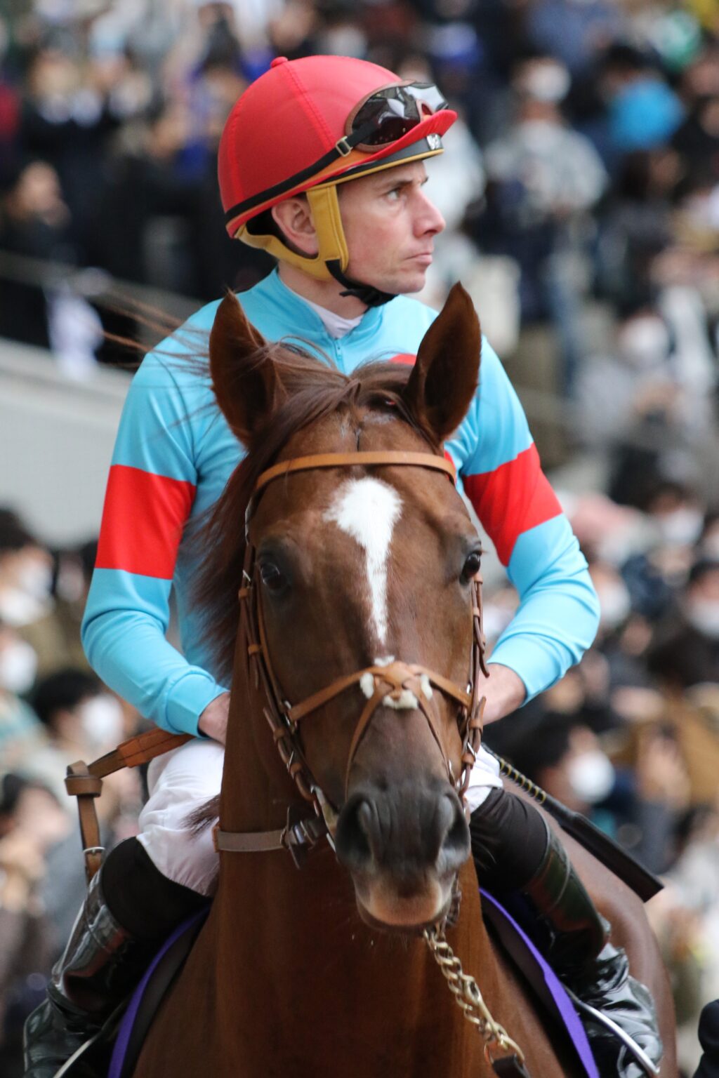 「IF…？」を次世代に託した謎多き馬／サリオス推したちの「サリオス考」 | ウマフリ | 競馬コラム＆ニュース