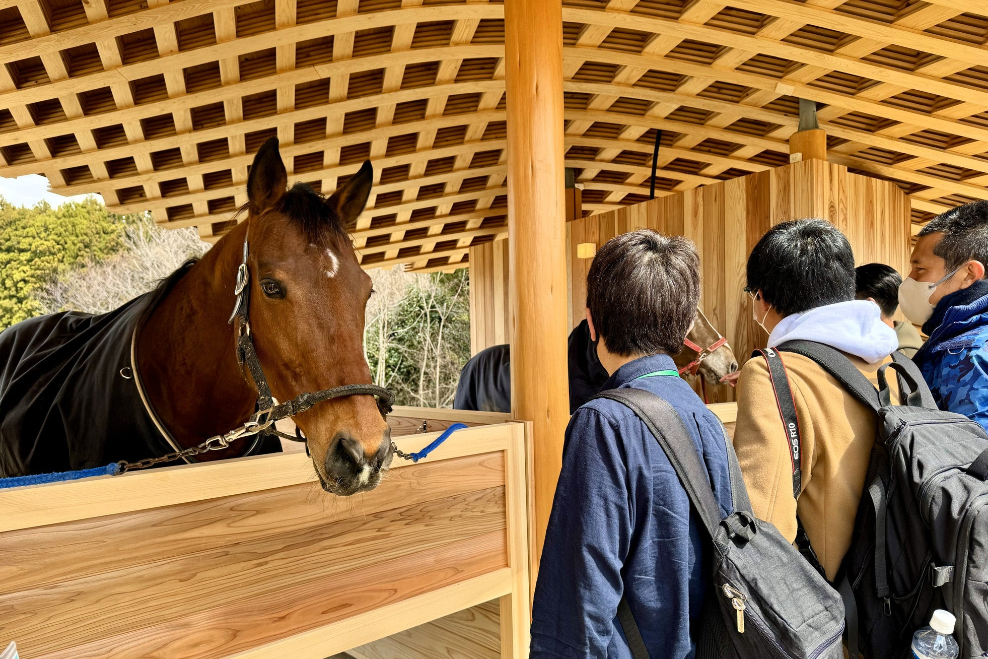 TCC Japanの取り組む新たな観光養老牧場「メタセコイアと馬の森」（滋賀県高島市）がグランドオープン！ | ウマフリ | 競馬コラム＆ニュース